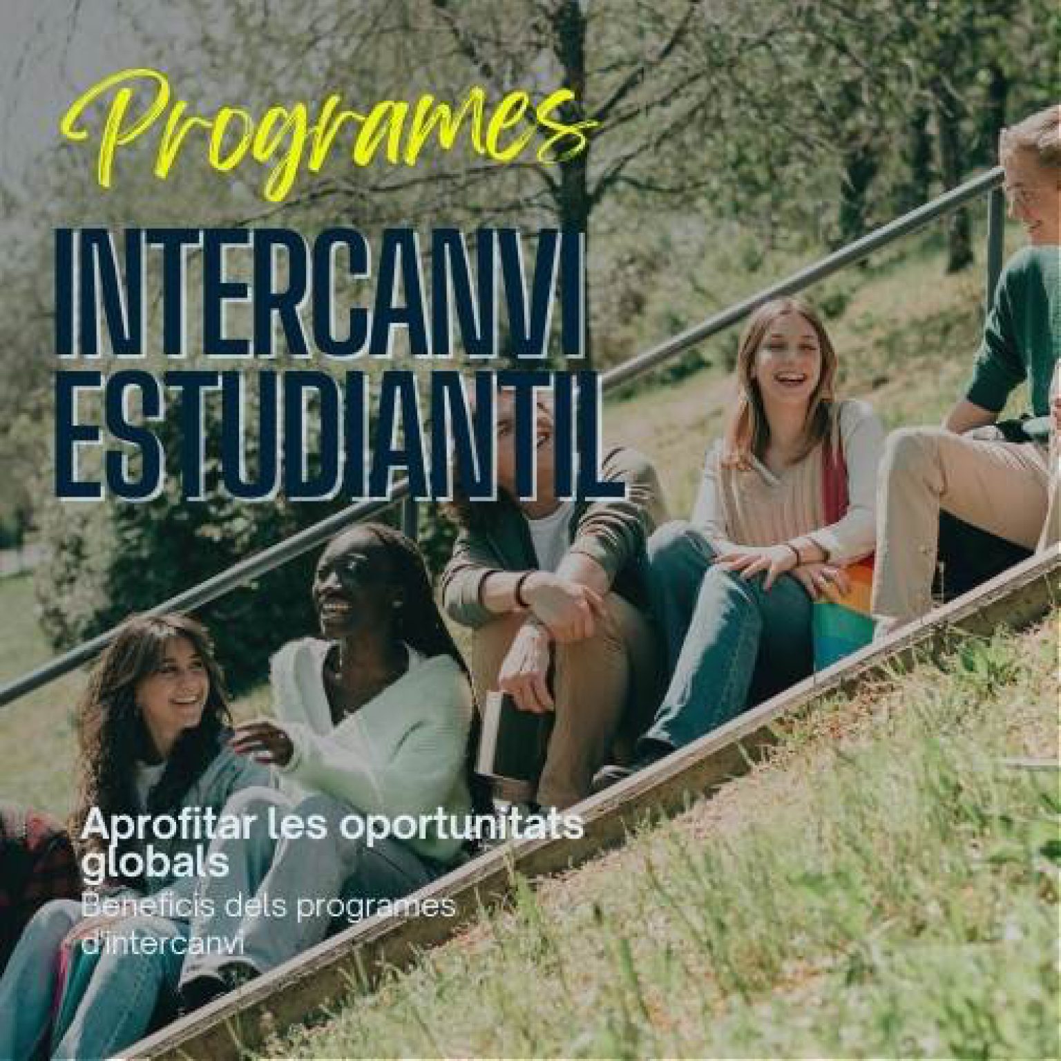 Guía Práctica de Programas de Intercambio Estudiantil: →
